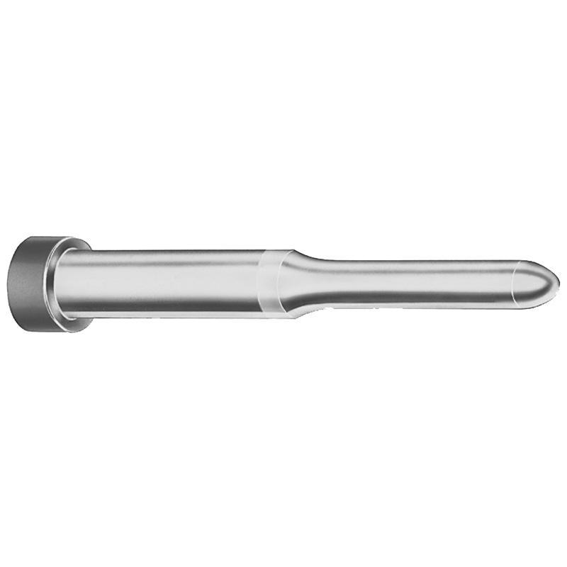 Pilot Punches - Round Tip, High Tolerance, Metric | DAYTON | MISUMI